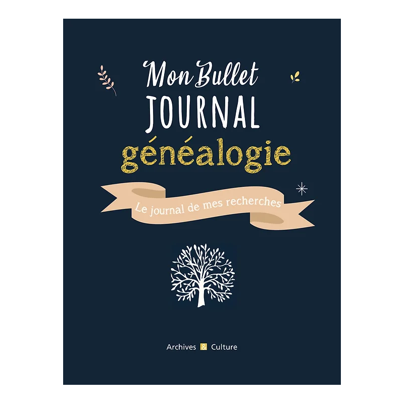 Pack DVD de la pièce « La Voleuse de souvenirs » + Mon Bullet journal ...